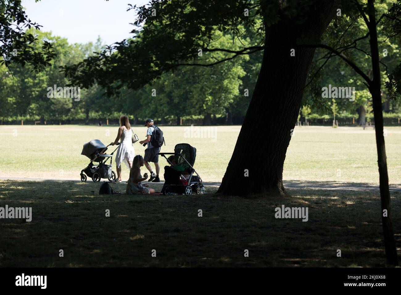 People rest in the shade in a parched Regent’s Park in London Stock ...