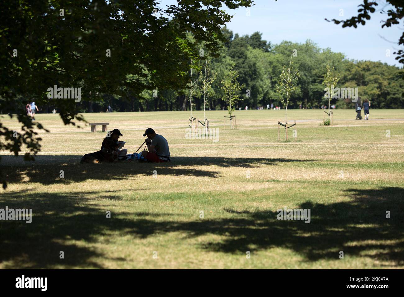 People rest in the shade in a parched Regent’s Park in London Stock ...