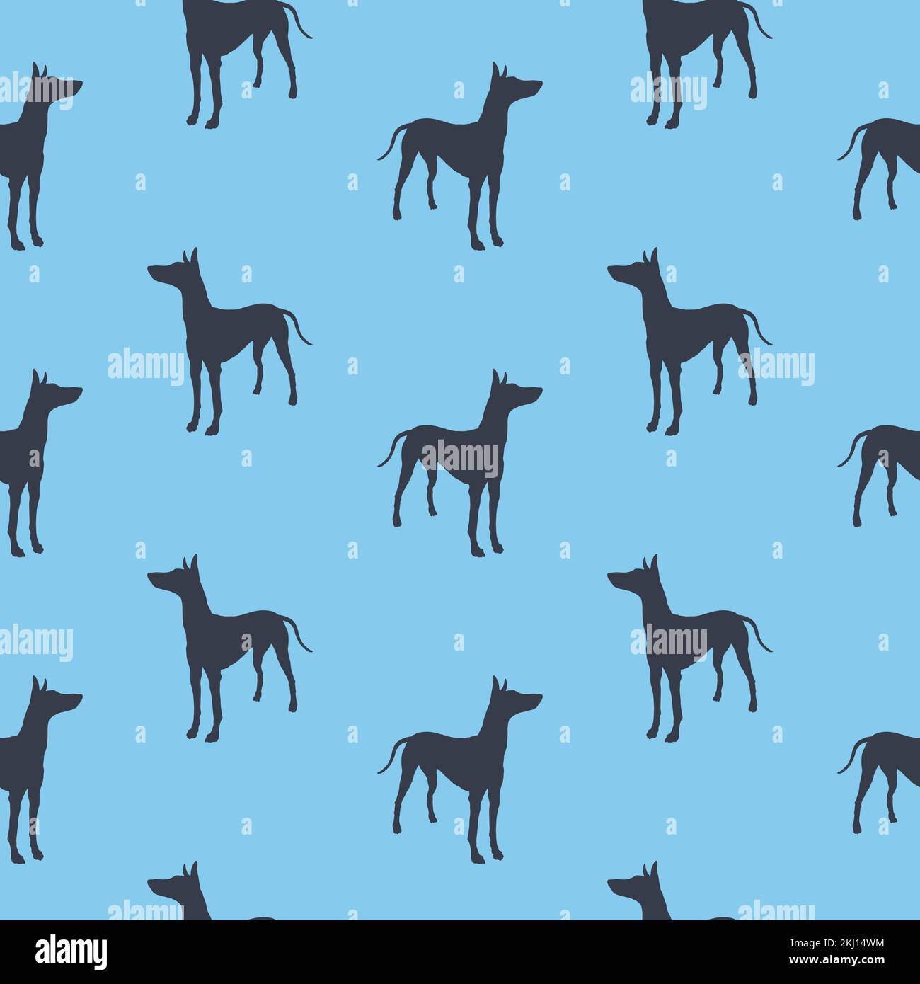 Standing pharaoh hound isolated on blue background. Seamless pattern ...