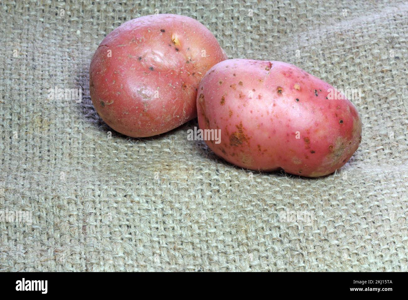 one raw red potato on a hessian background Stock Photo - Alamy