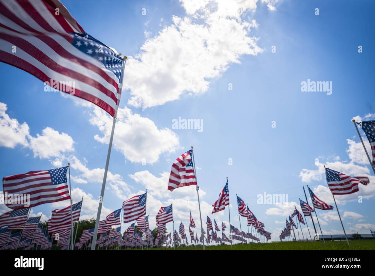 A group of dozens of American Stars waving in a green field with a blue ...