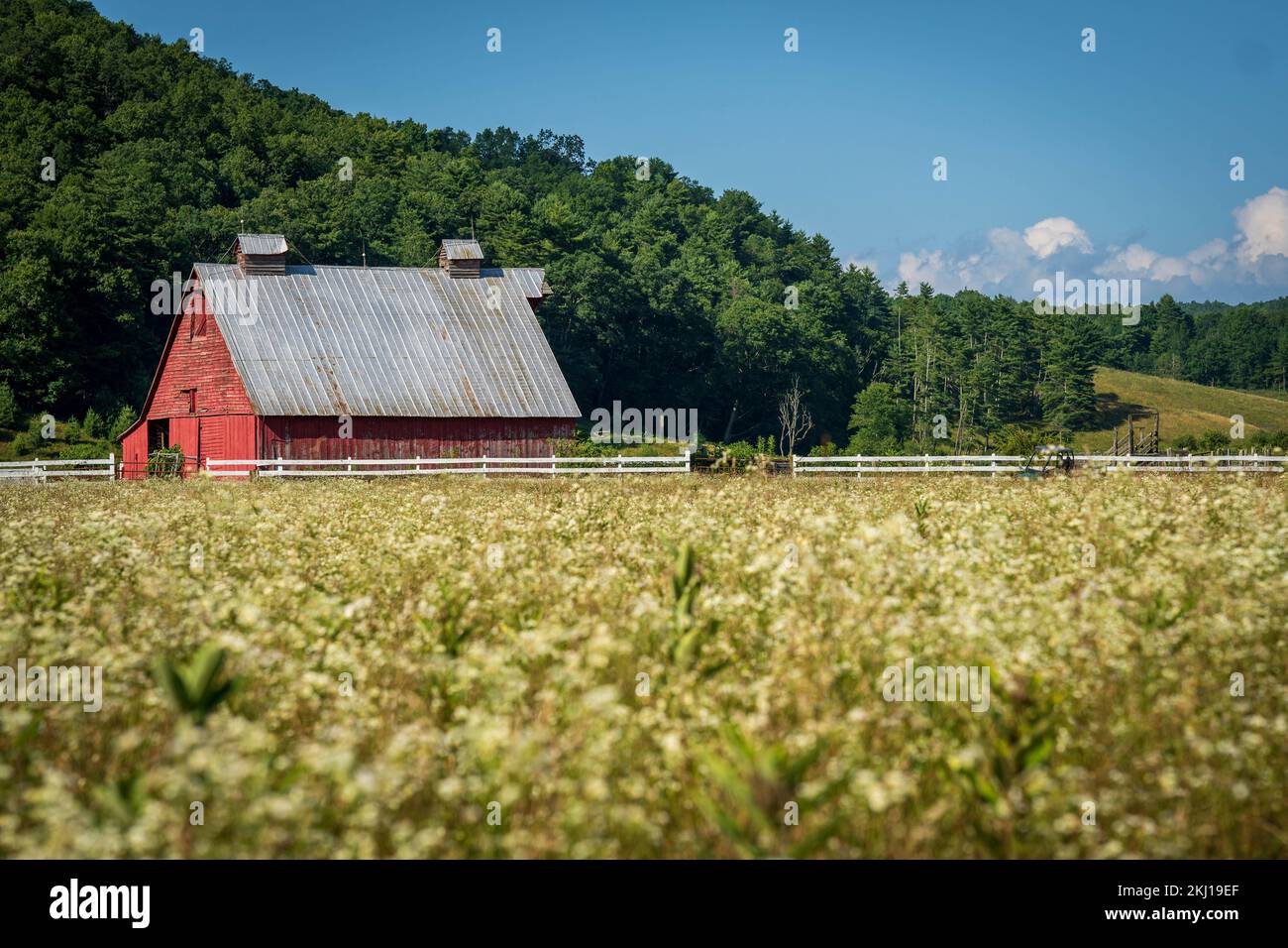 farmer's landscape in Virginia with farming barn Stock Photo - Alamy
