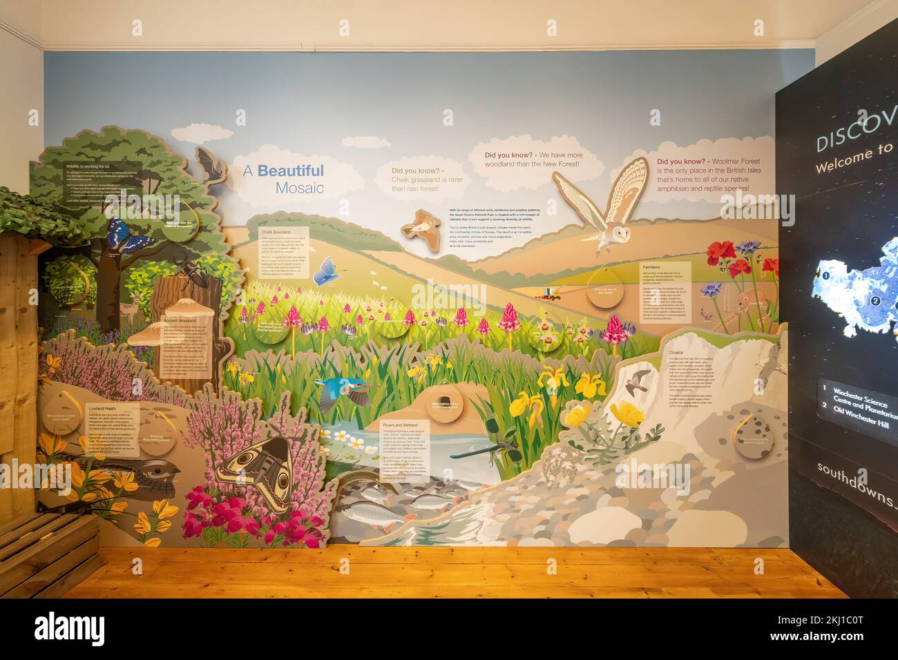 The South Downs Centre - exhibit in the National Park visitor centre in ...
