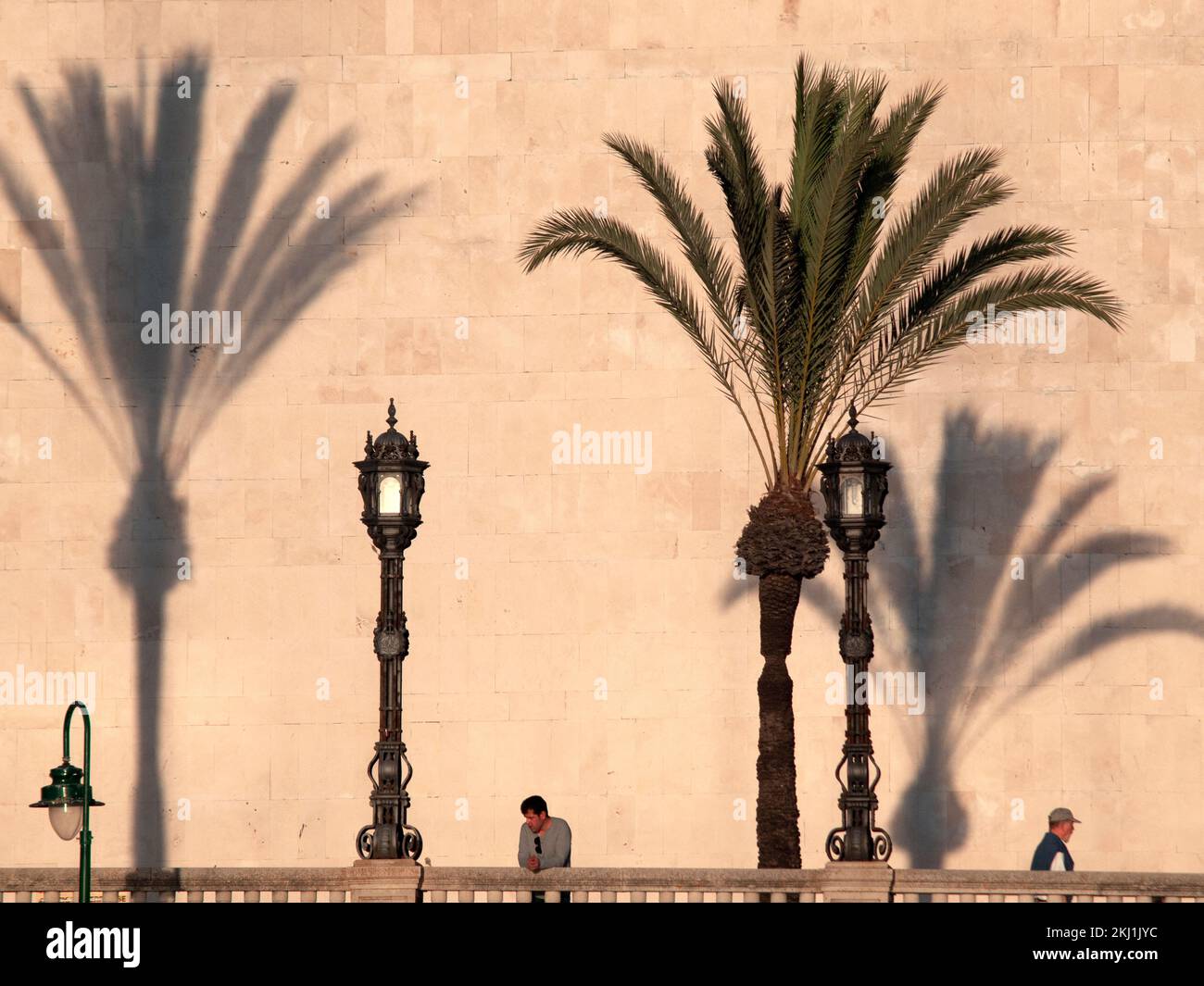Palm trees above Playa de La Caleta in Cadiz Stock Photo - Alamy