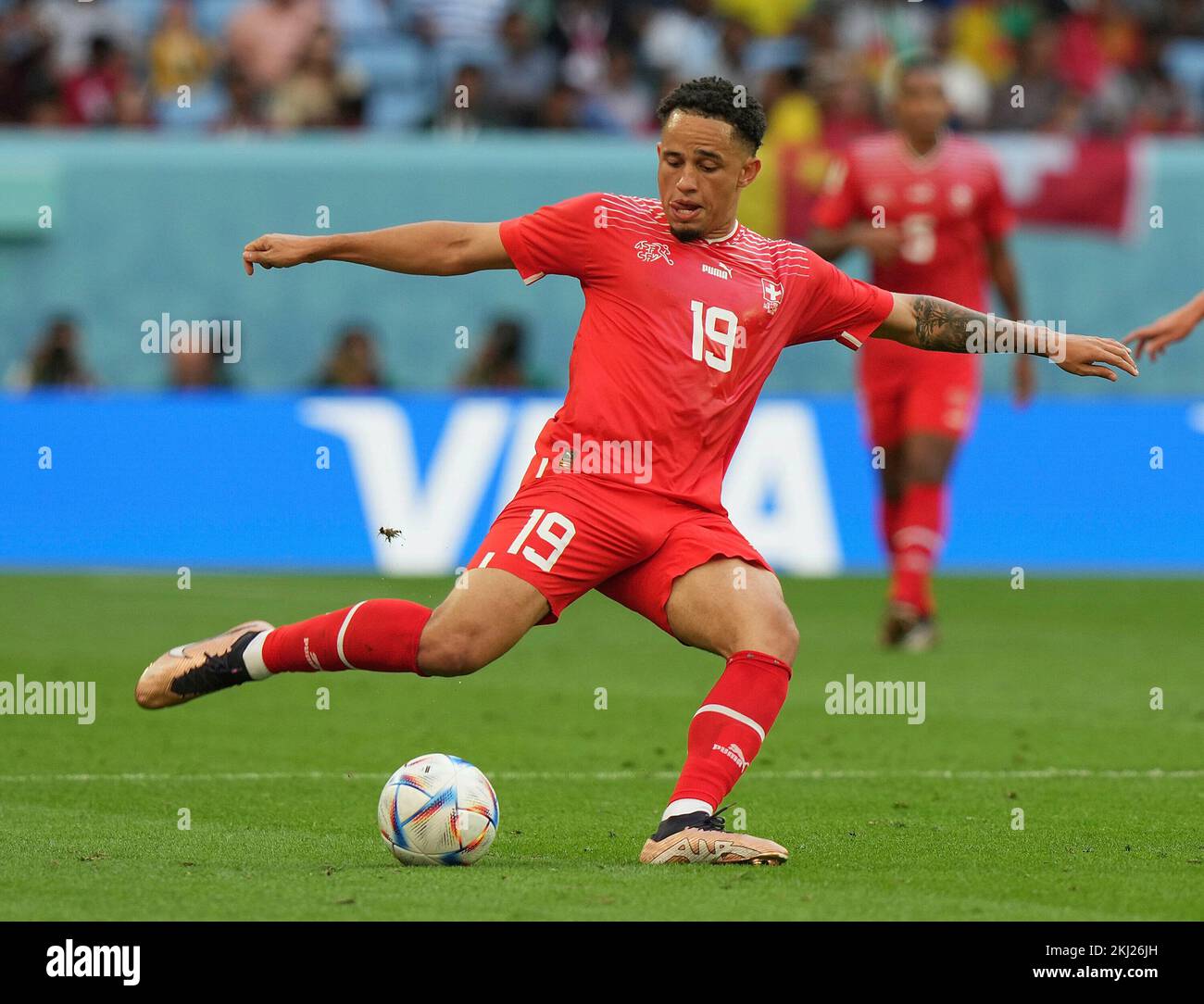 November 24th, 2022, Khalifa International Stadium, Doha, QAT, World ...