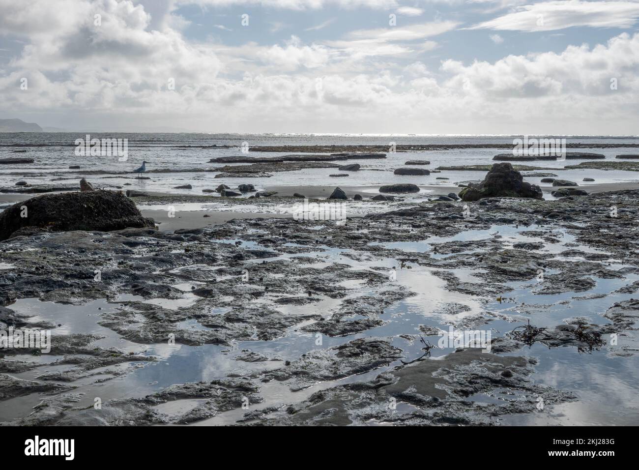 rock pools on a beautiful deserted sandy beach in Lyme Regis Dorset ...