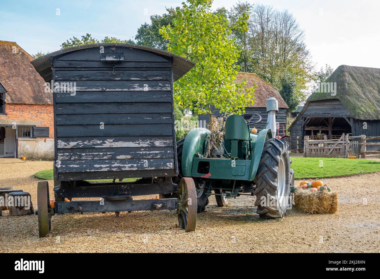autumn Halloween scene of pumpkins by a vintage tractor and rustic ...
