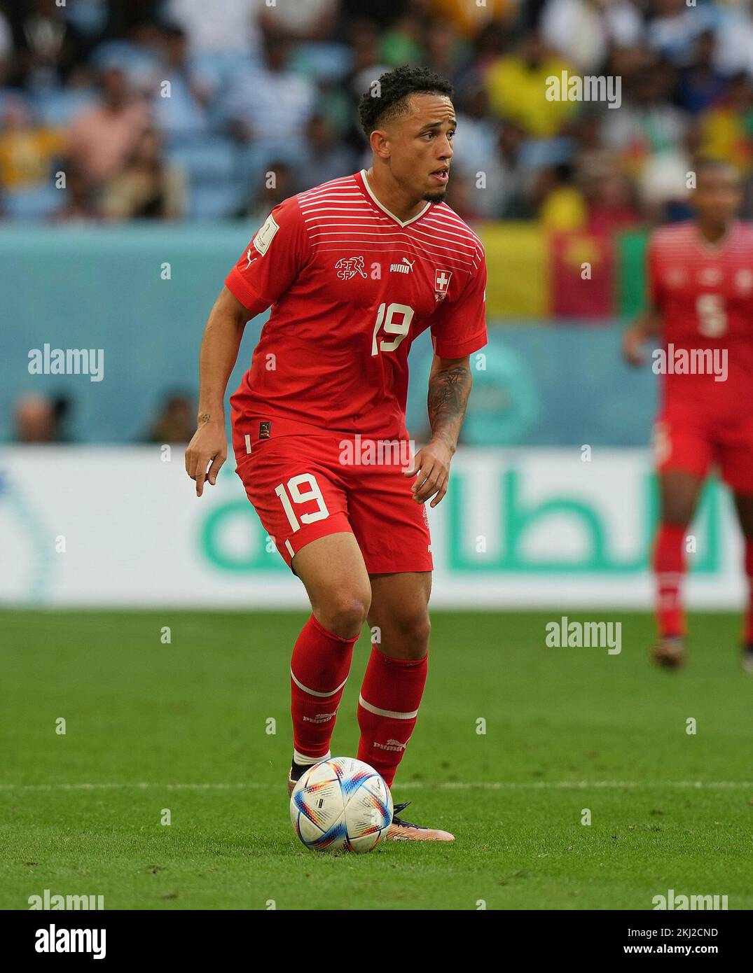 November 24th, 2022, Khalifa International Stadium, Doha, QAT, World ...