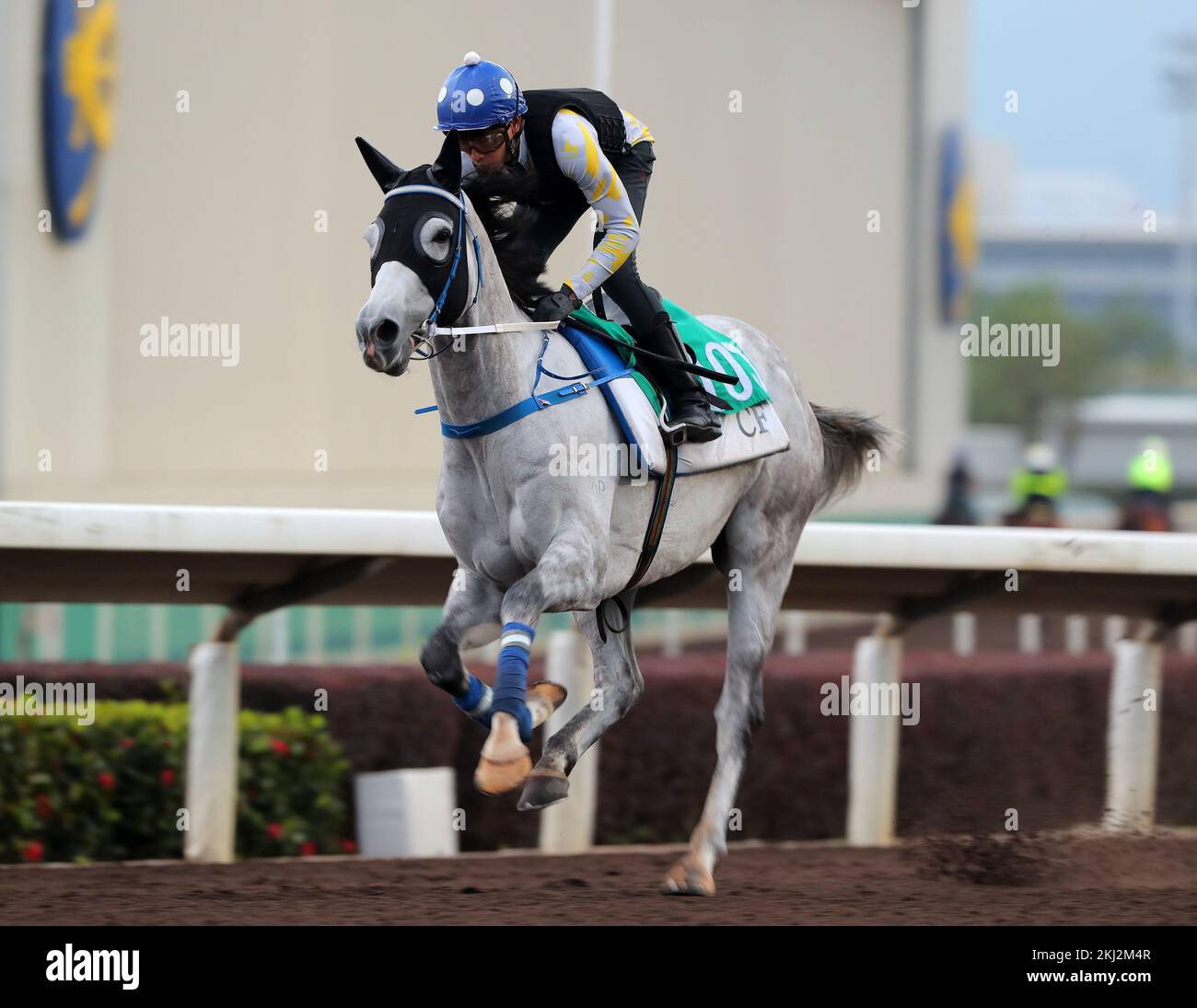 Señor vincent hi-res stock photography and images - Alamy