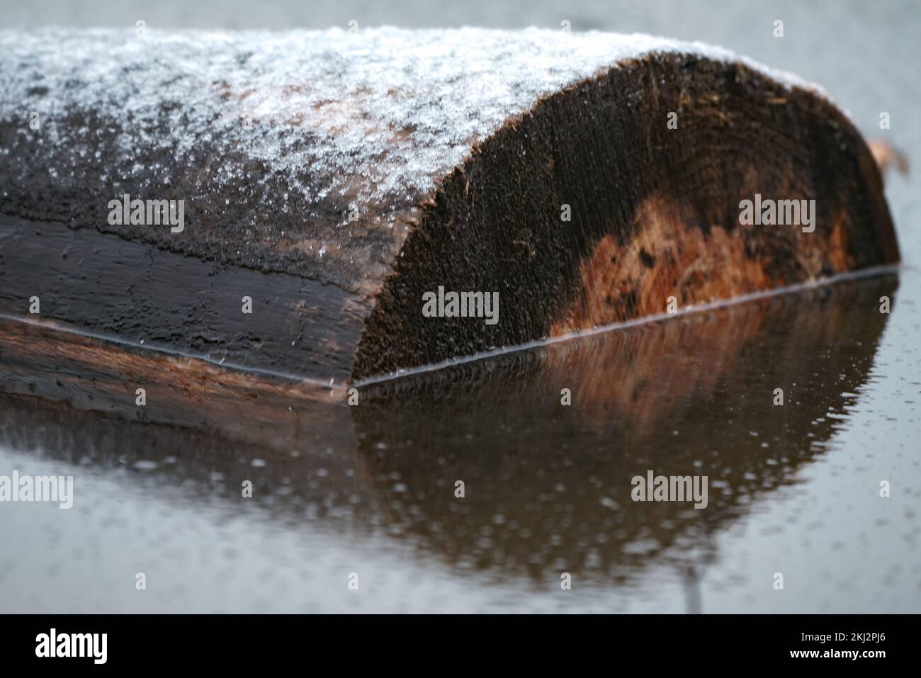 A tree log half submerge into the frozen lake Stock Photo - Alamy
