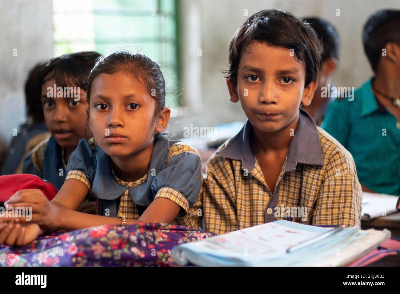 school Students studying in classroom Stock Photo - Alamy