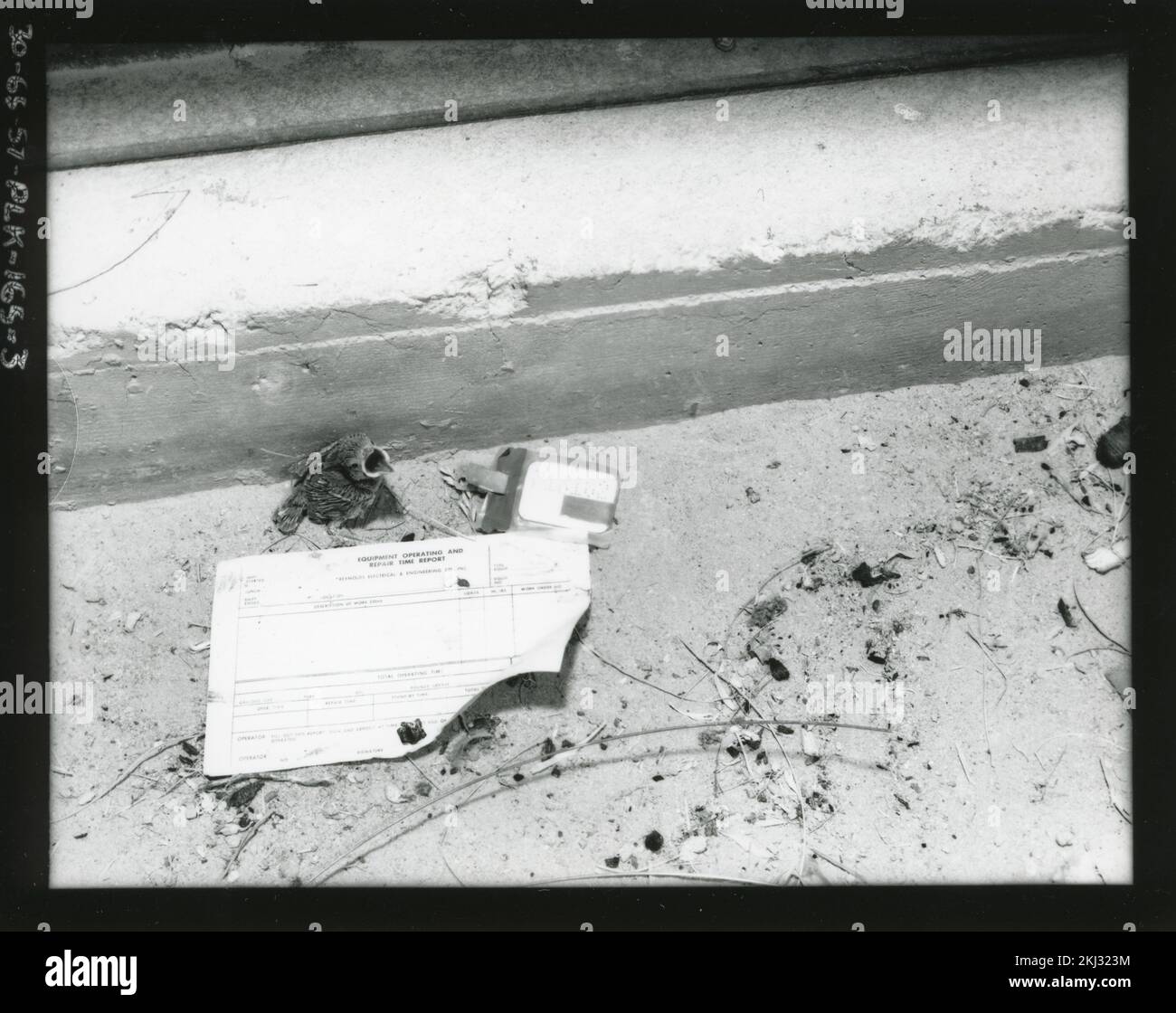 Project 30-65 - Operation Plumbob (Nevada Test Site) Test Activities ...