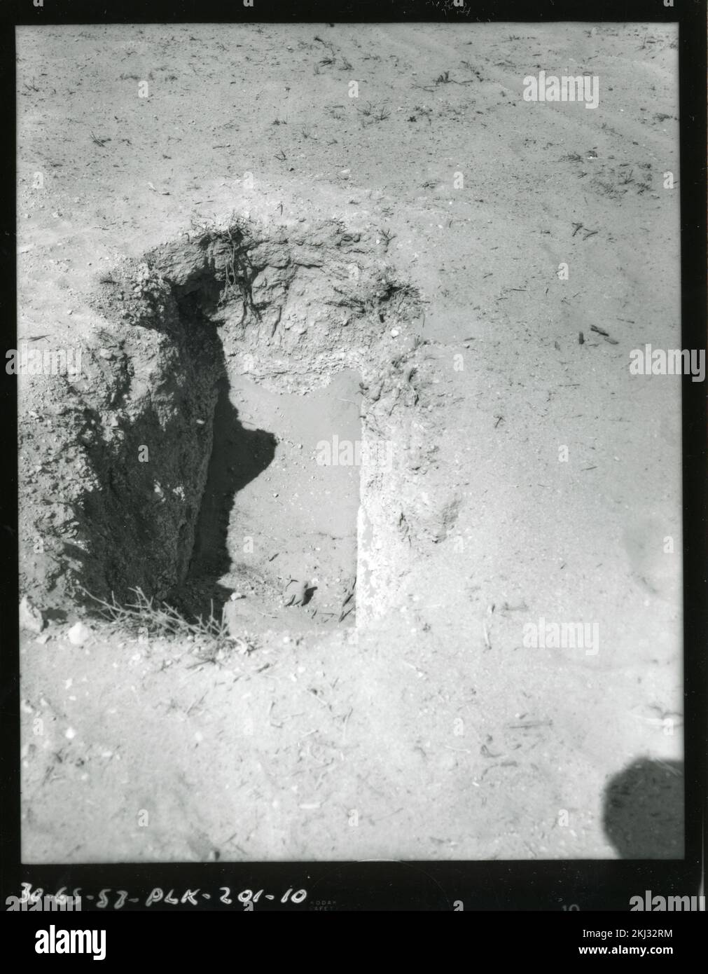 Project 30-65 - Operation Plumbob (Nevada Test Site) Test Activities ...