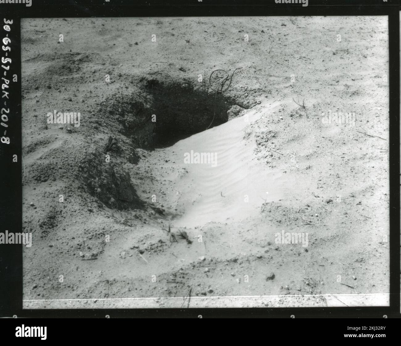Project 30-65 - Operation Plumbob (Nevada Test Site) Test Activities ...