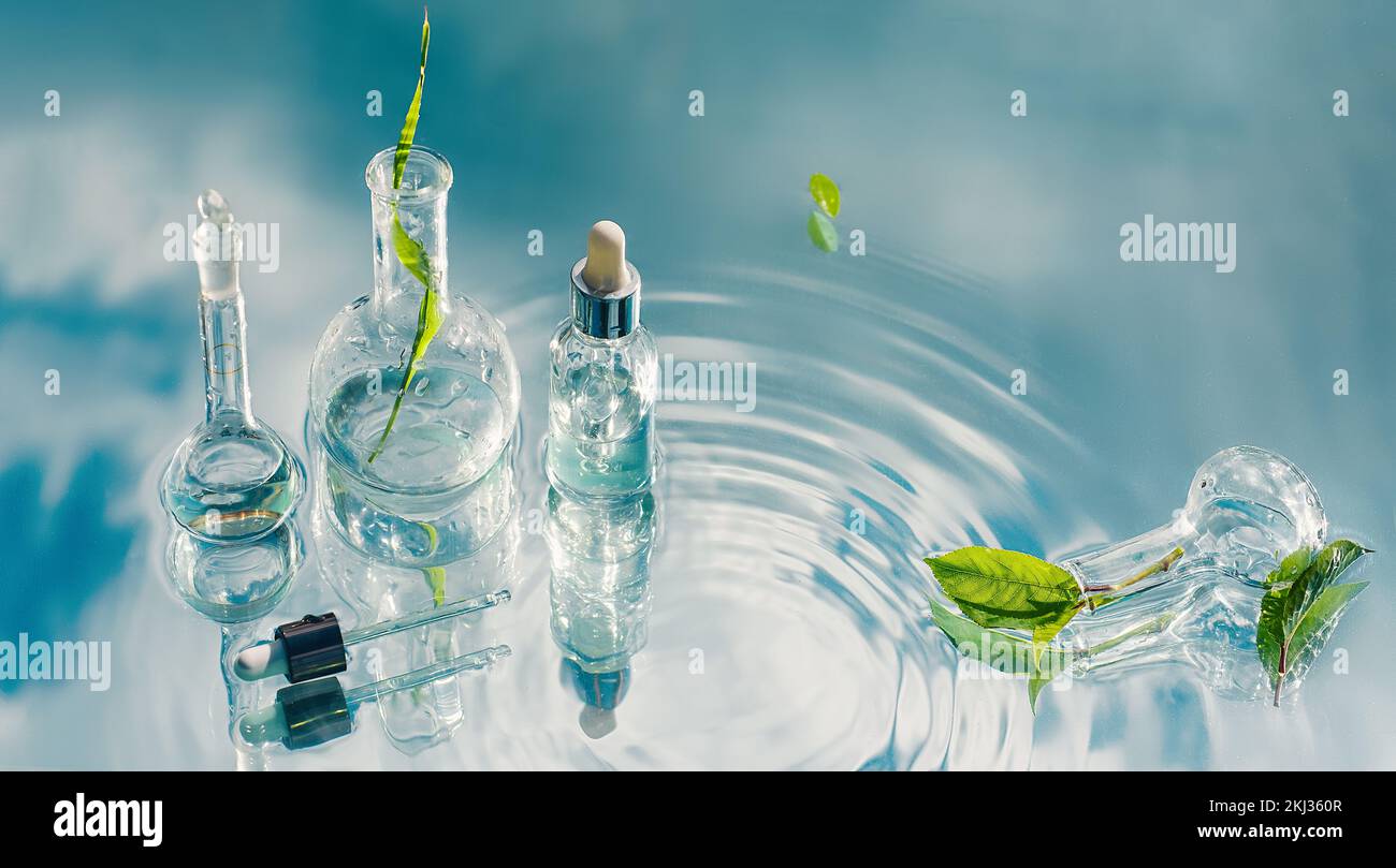 Alternative herbal medicine concept with organic natural herbs in ...