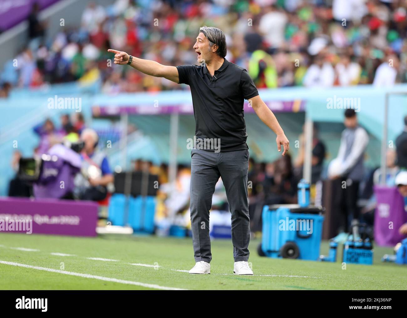 24th November 2022; Al Janoub Stadium, Al Wakrah, Qatar; FIFA World Cup ...