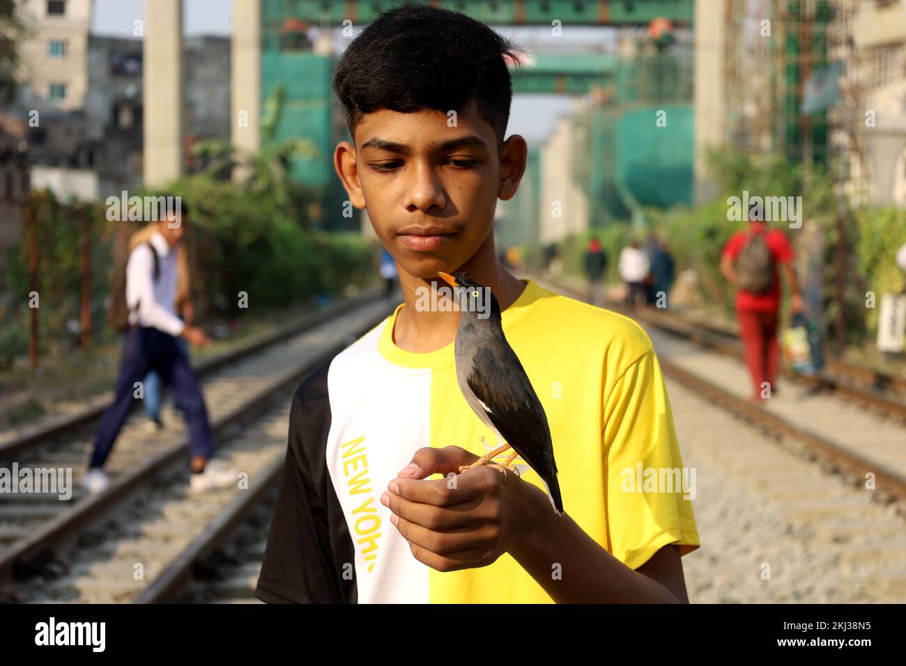 Dhaka, Dhaka, Bangladesh. 24th Nov, 2022. A pet bird is seen on the hand of its pet keeper on ...