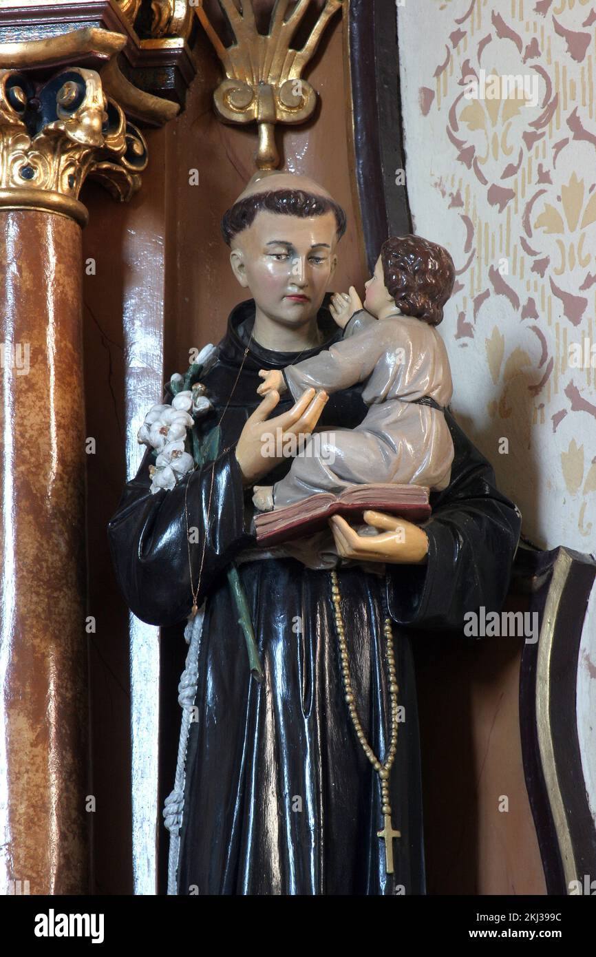 Saint Anthony of Padua, statue on the altar Immaculate Heart of Mary in ...