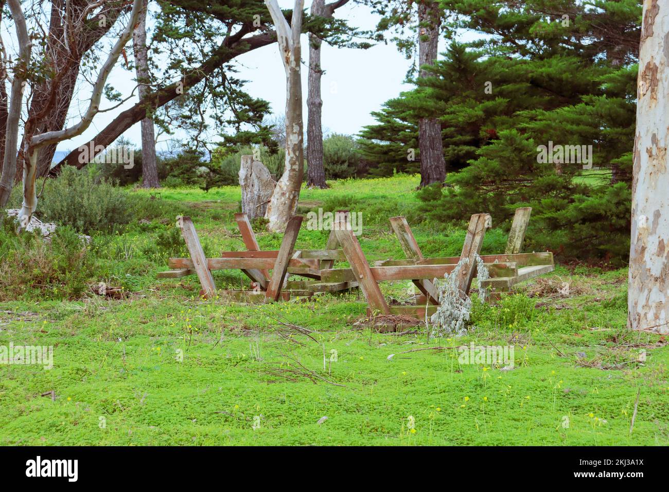 Upside down picnic tables amongst trees Stock Photo - Alamy