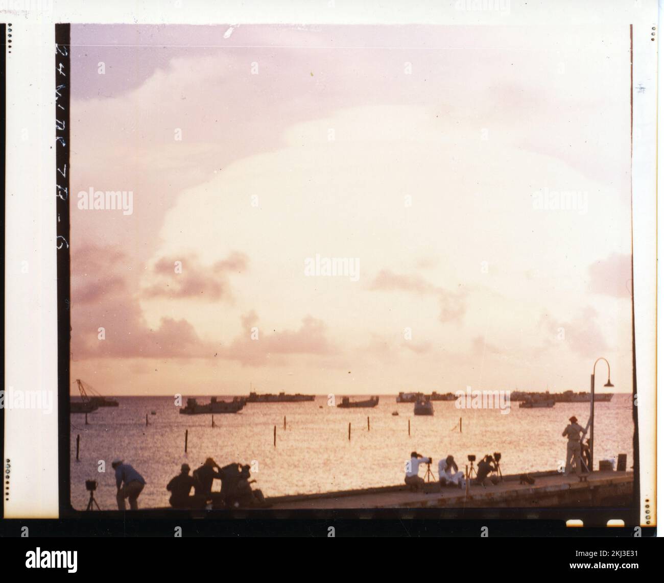 Hardtack oak hi-res stock photography and images - Alamy