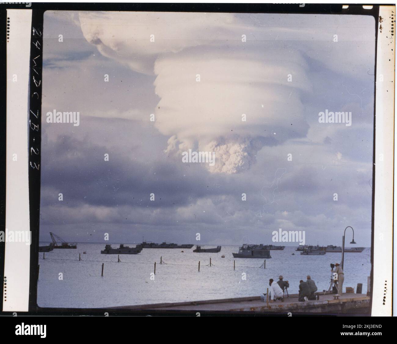 Hardtack oak hi-res stock photography and images - Alamy