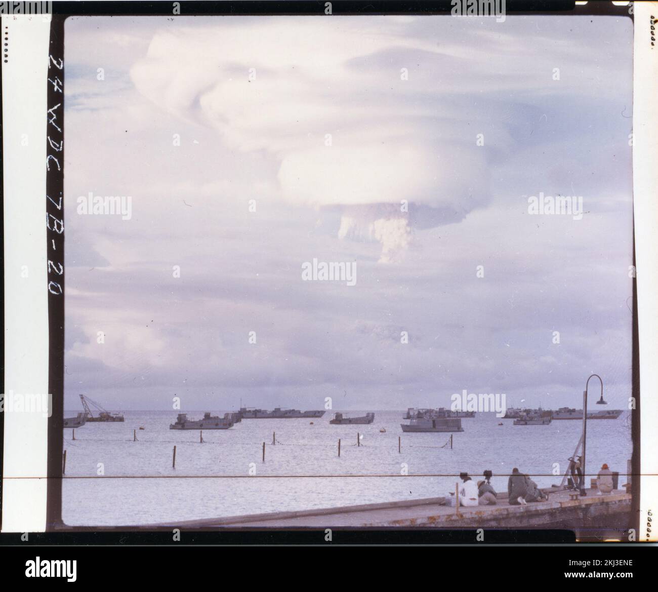 Hardtack oak hi-res stock photography and images - Alamy