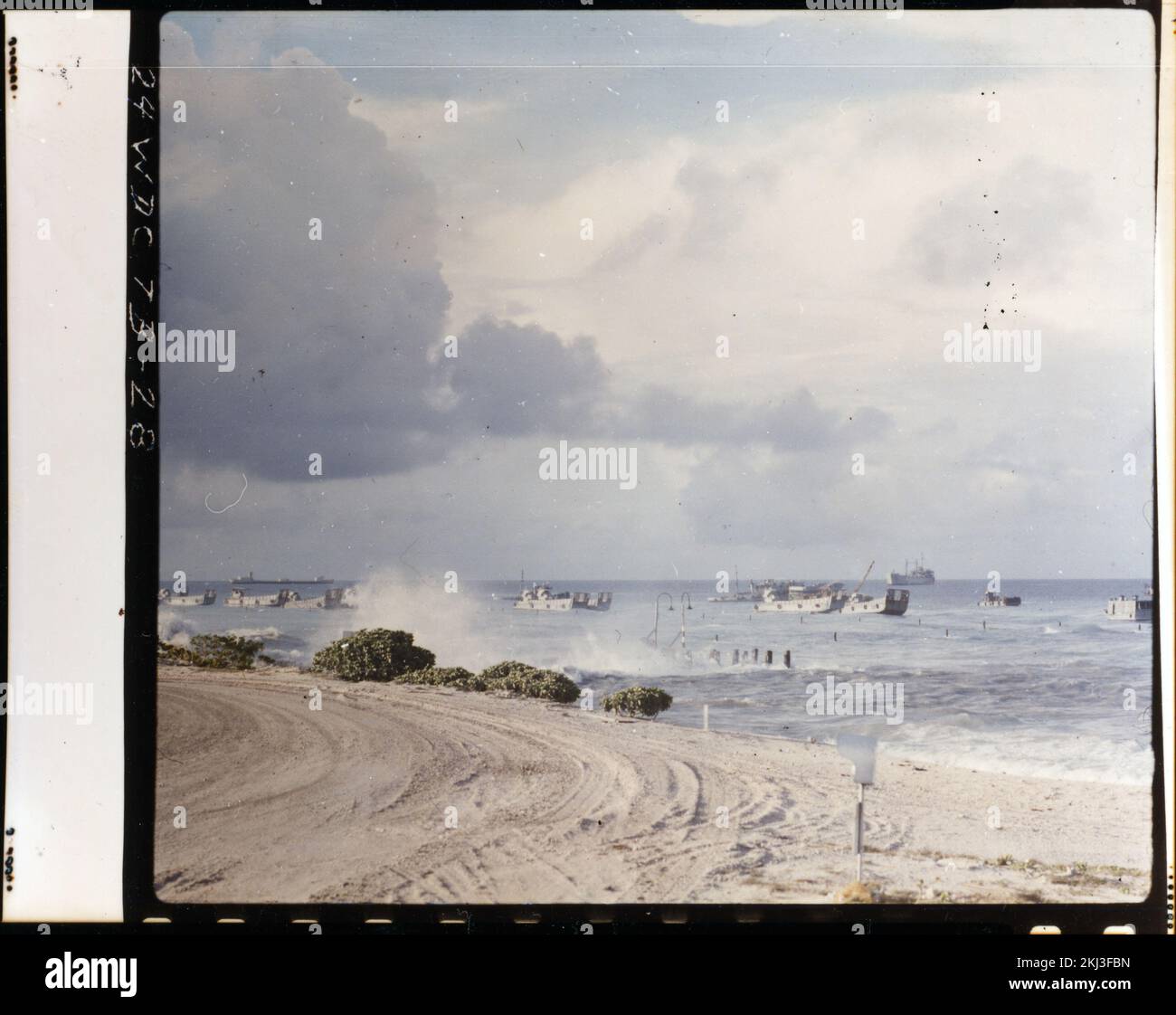 Hardtack oak hi-res stock photography and images - Alamy