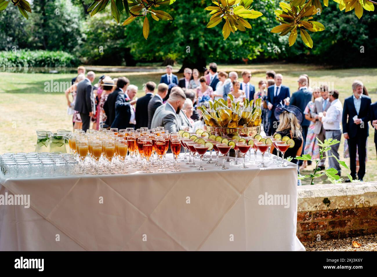 Cocktails ready to serve to the guests at the garden party Stock Photo ...
