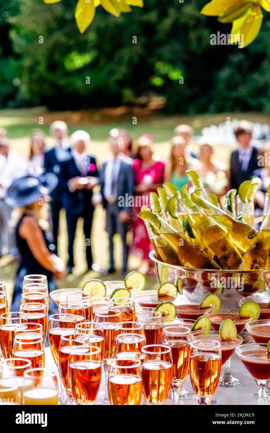 Cocktails ready to serve to the guests at the garden party Stock Photo ...