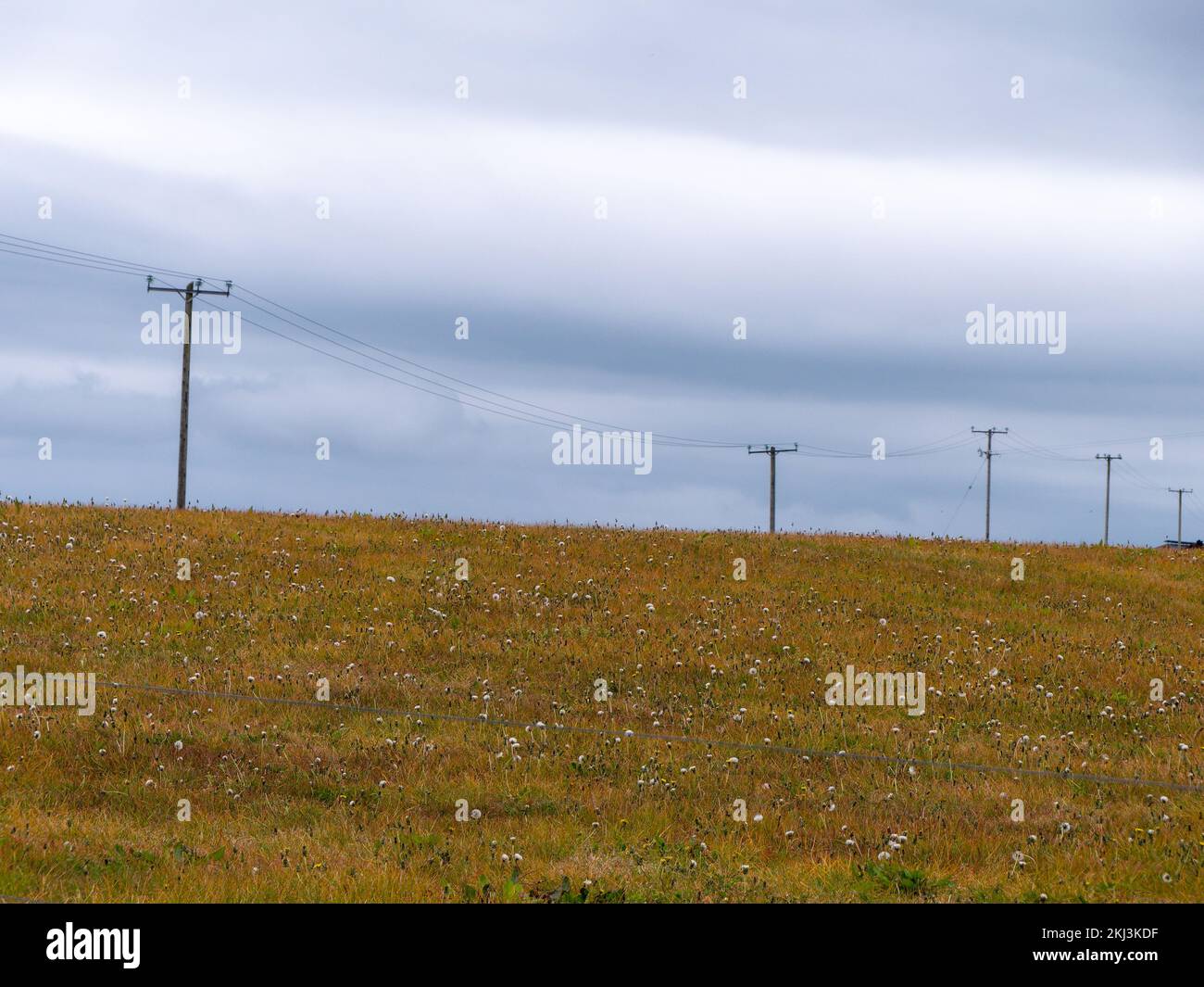 A power lines in a field, sky. Minimalistic landscape, electric post on ...
