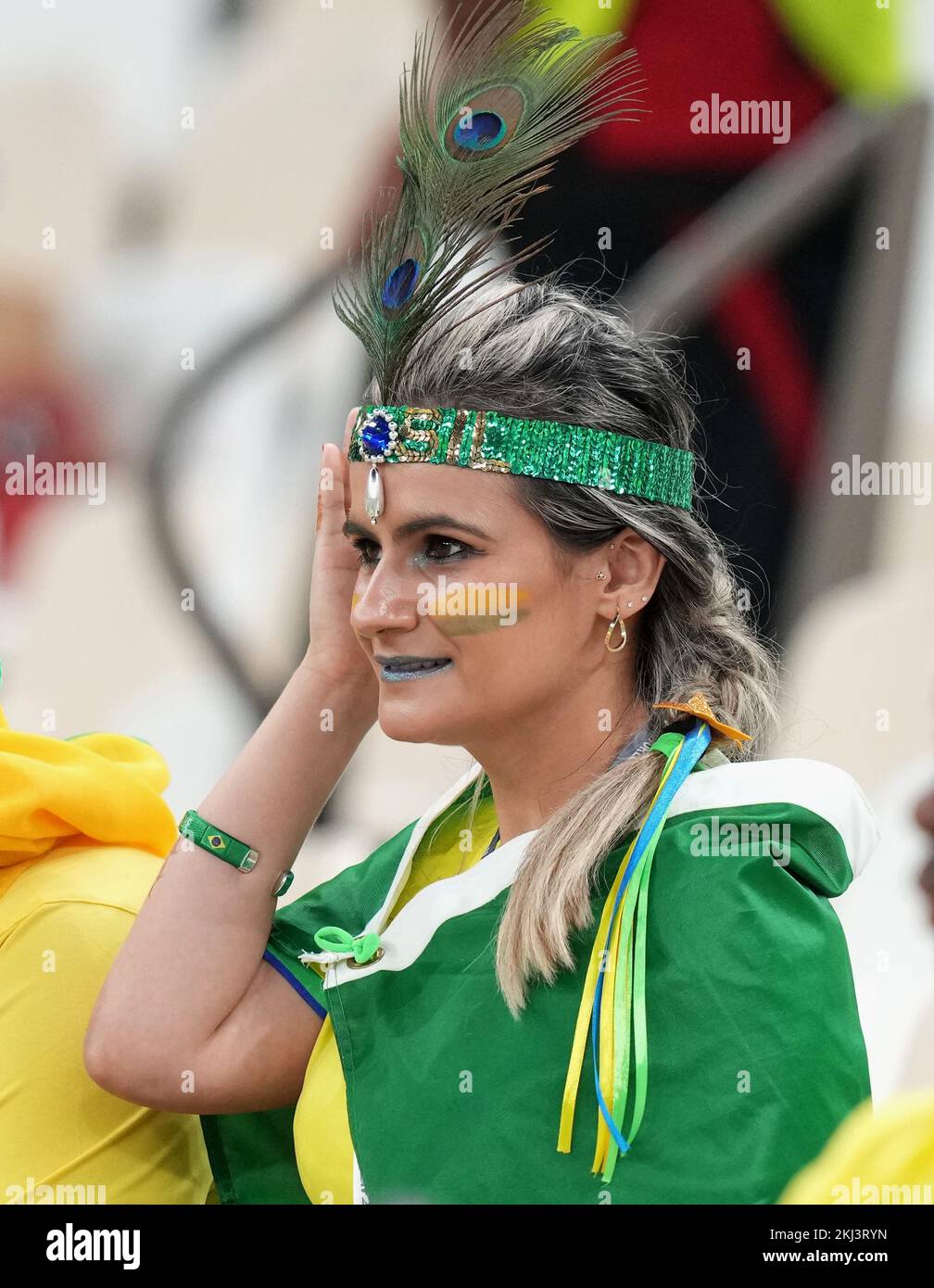Brazil fans in the stands before the FIFA World Cup Group G match at ...