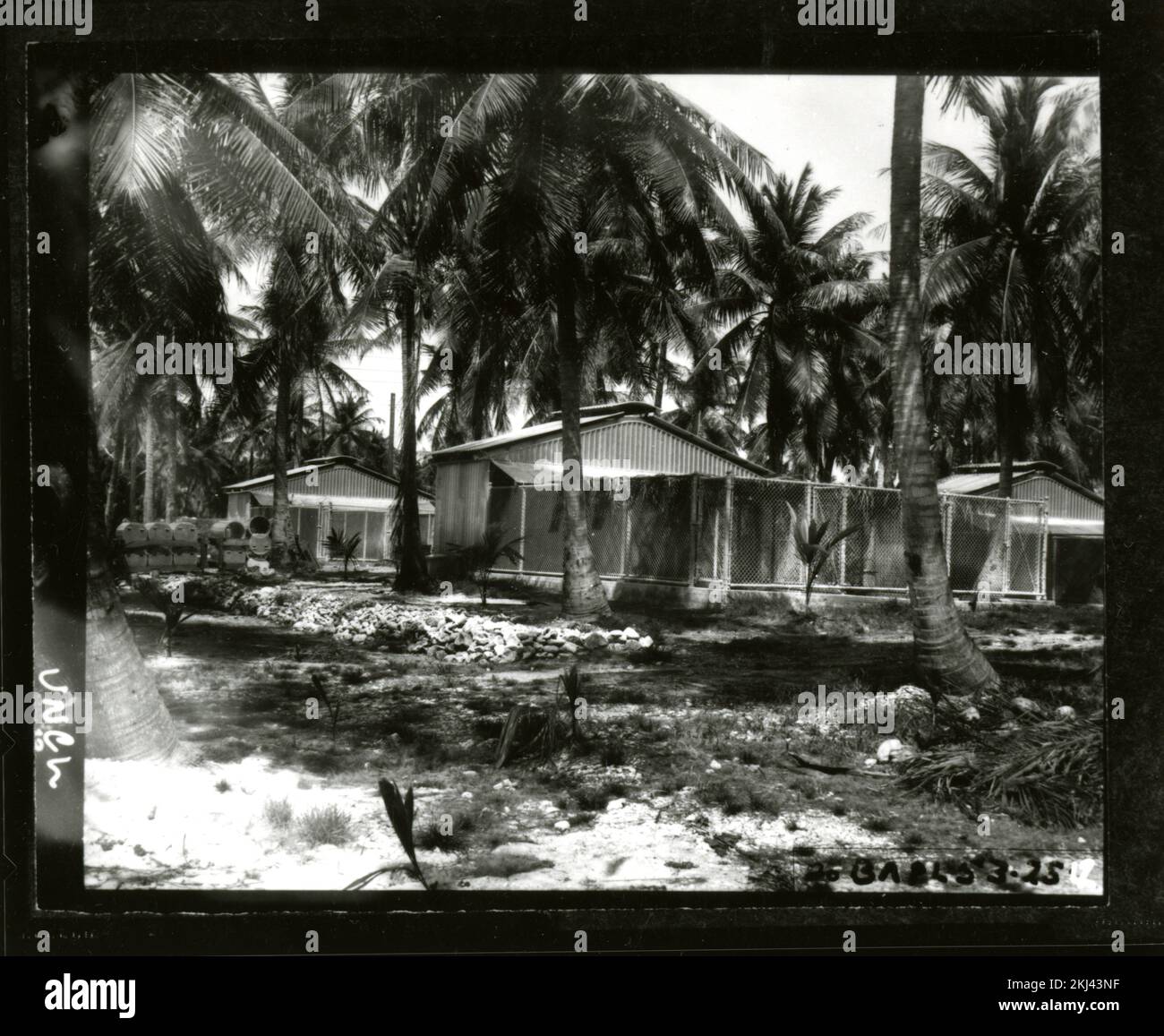 Project 20 - Operation Greenhouse (Enewetak) Test Activities. Coconut ...