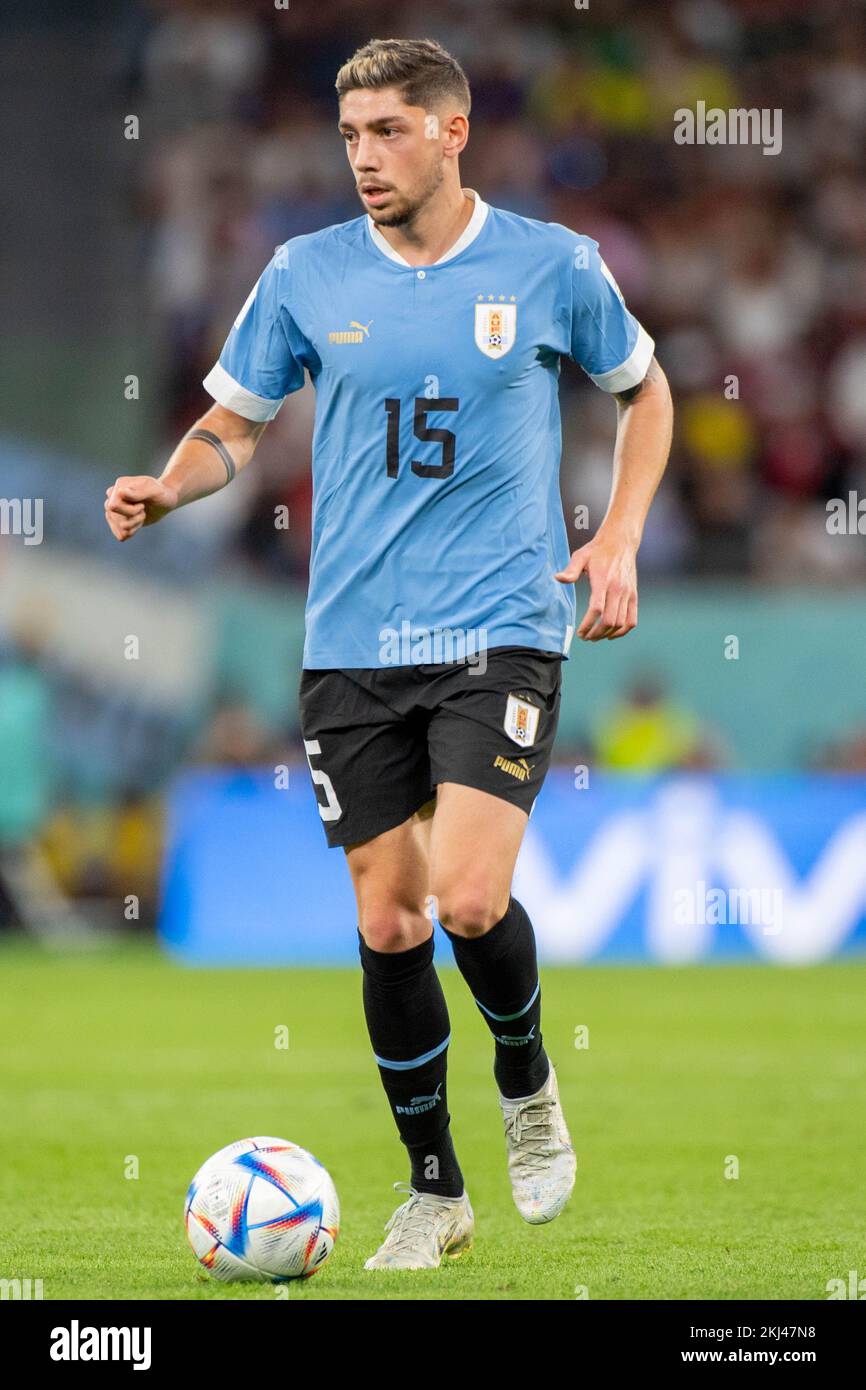 Federico Valverde of Uruguay during the FIFA World Cup Qatar 2022 Group ...