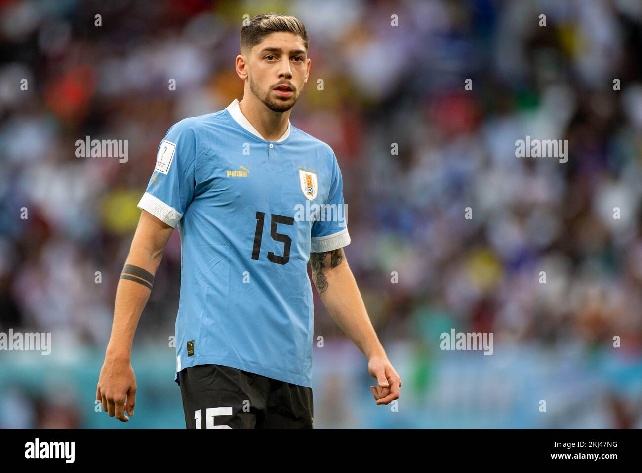 Federico Valverde of Uruguay during the FIFA World Cup Qatar 2022 Group ...