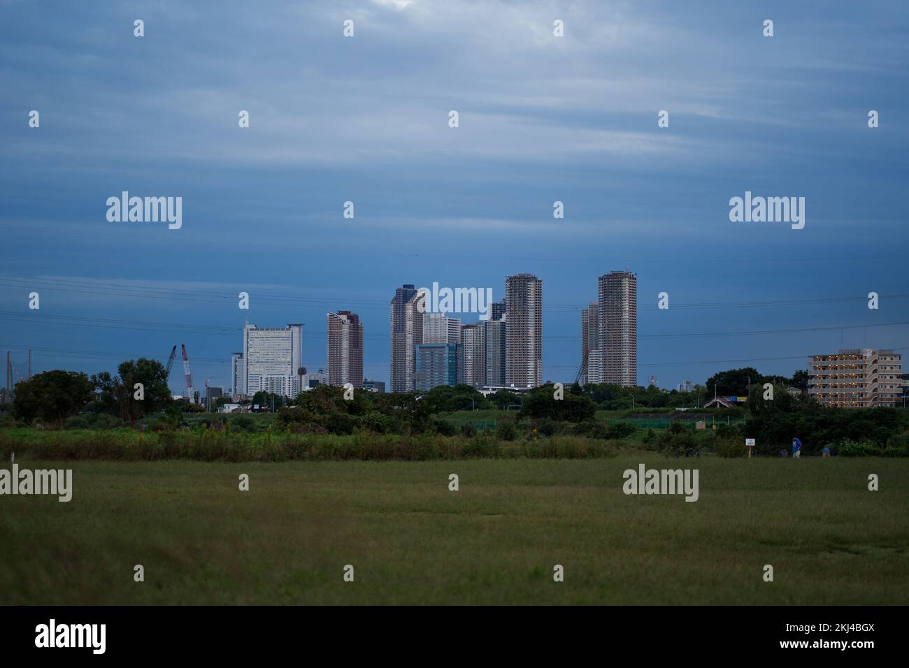 A vertical shot of the green field with skyscrapers in the background ...