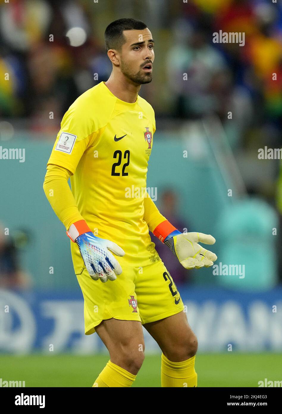 Portugal goalkeeper Diogo Costa during the FIFA World Cup Group H match ...