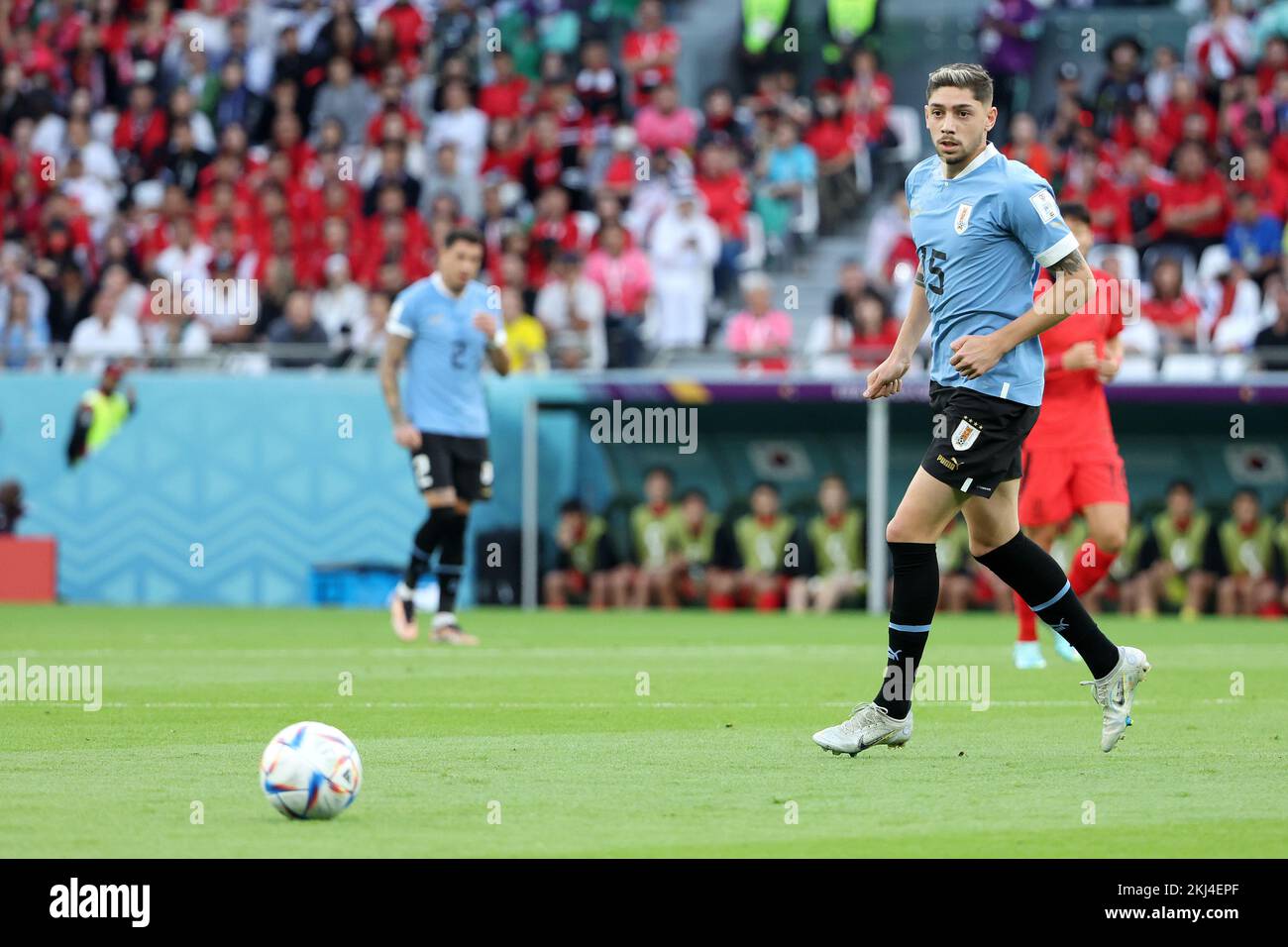 Federico Valverde of Uruguay during the FIFA World Cup 2022, Group H ...