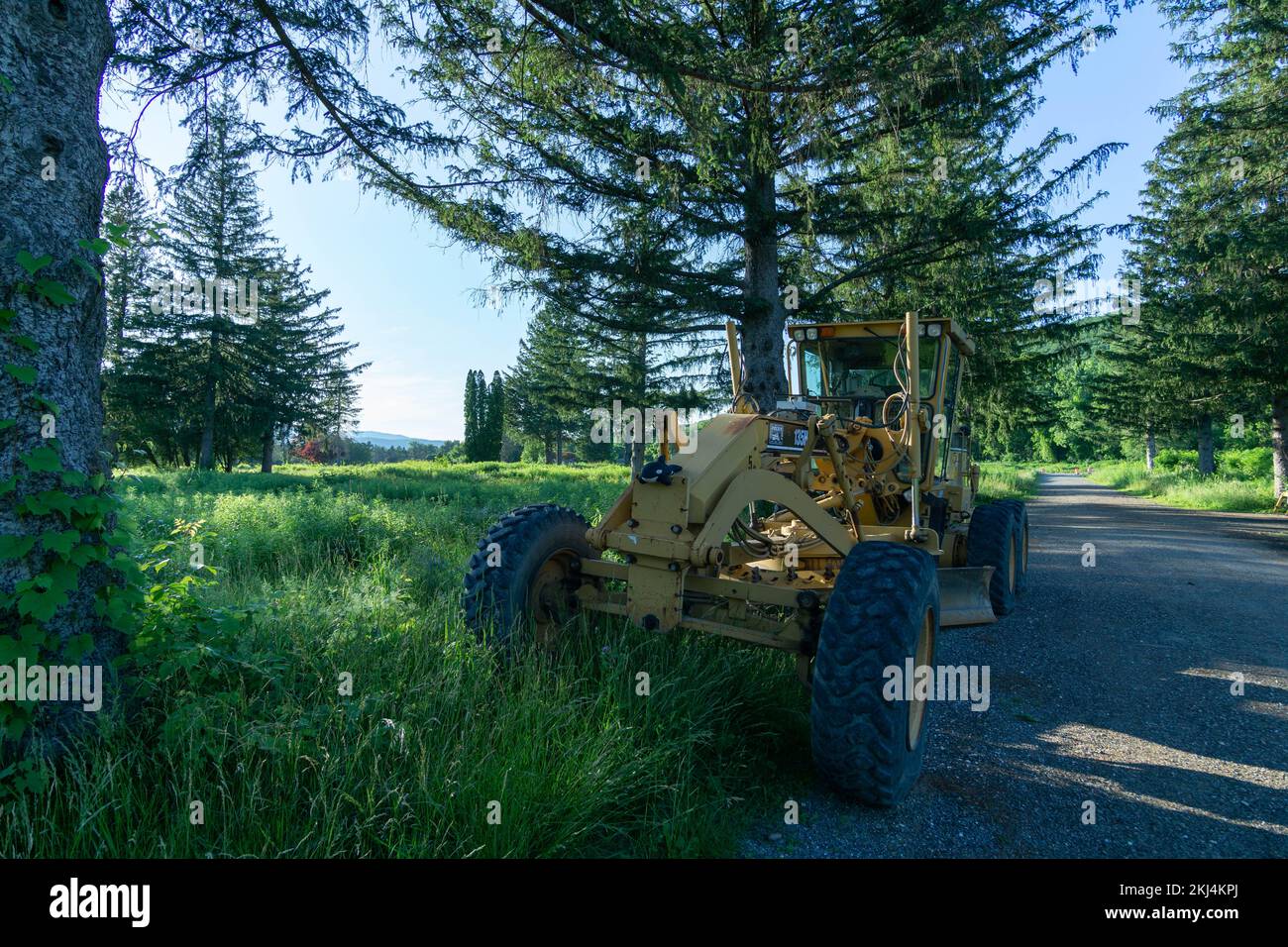 Spruces flood hi-res stock photography and images - Alamy