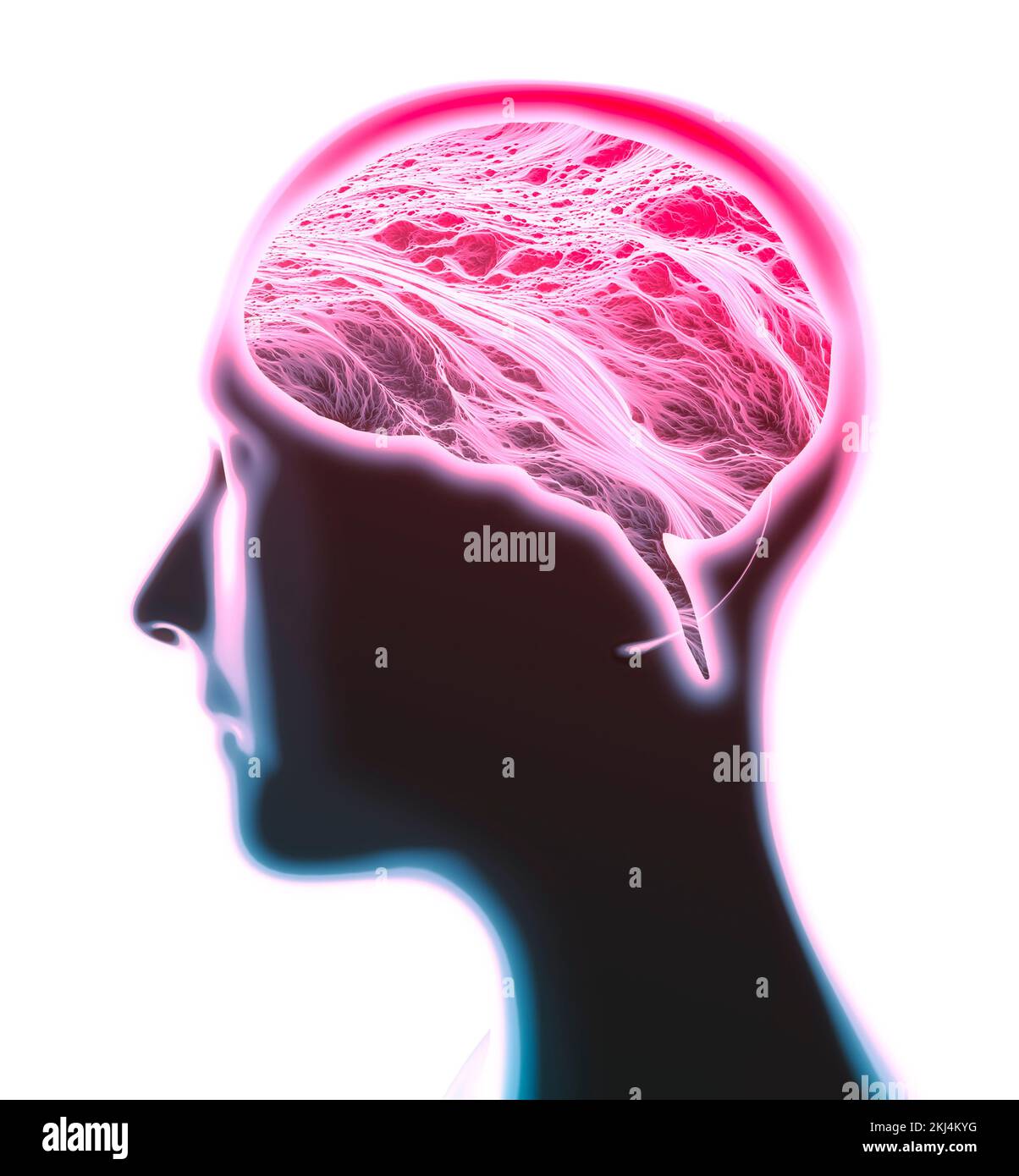 Neurology, philosophy: connections, the development of thought and ...