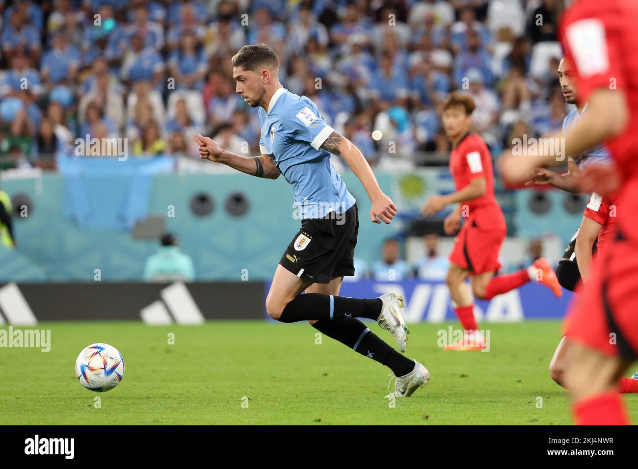 Federico Valverde of Uruguay during the FIFA World Cup 2022, Group H ...