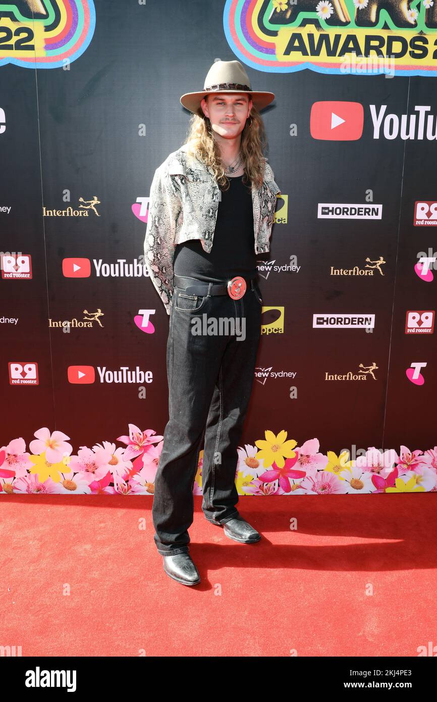 Lovemedo hi-res stock photography and images - Alamy