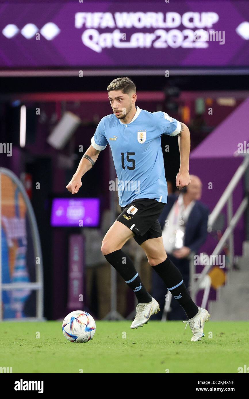Federico Valverde of Uruguay during the FIFA World Cup 2022, Group H ...