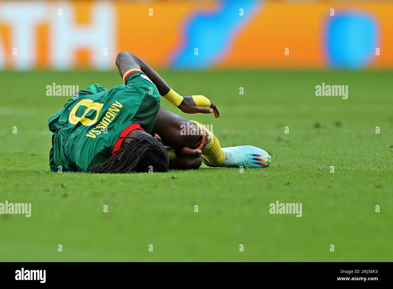 24th November 2022; Al Janoub Stadium, Al Wakrah, Qatar; FIFA World Cup ...
