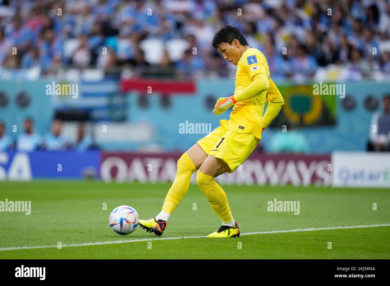 Al Rayyan, Qatar. 24th Nov, 2022. Kim Seung-gyu (KOR) Football/Soccer ...