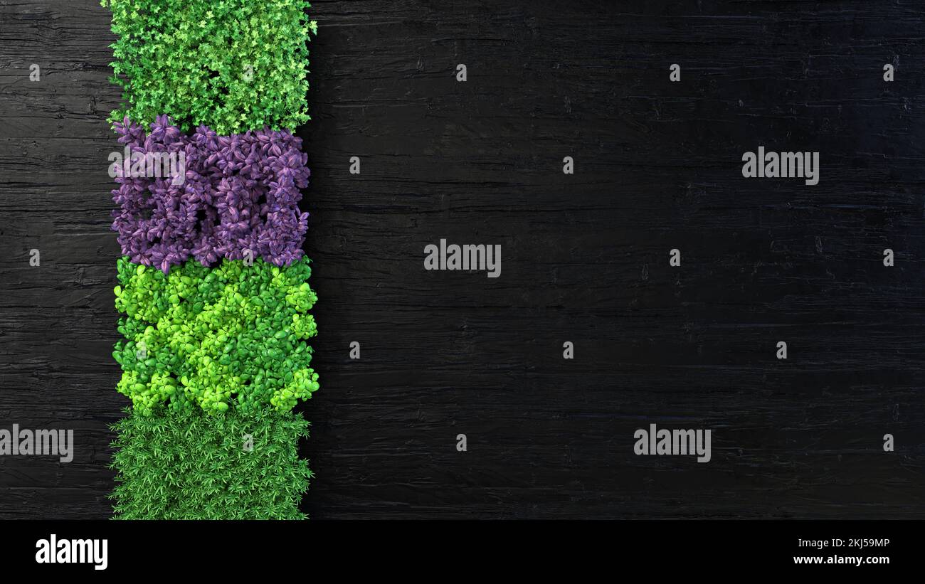 Set of boxes with microgreen sprouts of parsley, dill, basil, onion ...