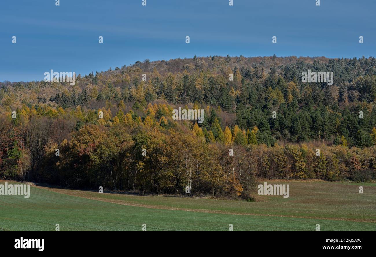 Late autumn colors after first light snow Lower Silesia Poland Stock ...