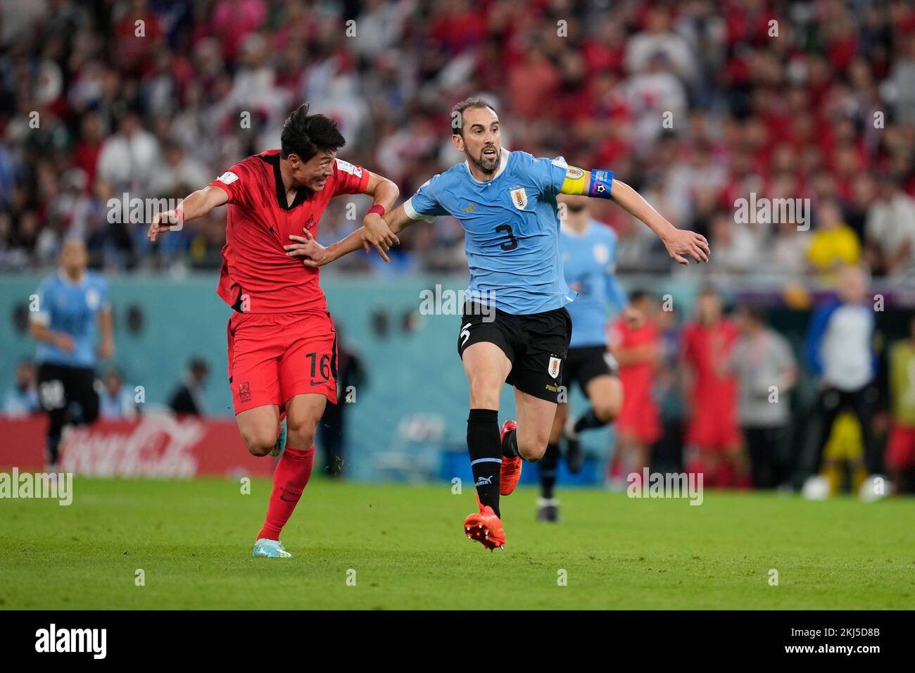 Al Rayyan, Qatar. 24th Nov, 2022. (L to R) Hwang Ui-jo (KOR), Diego ...