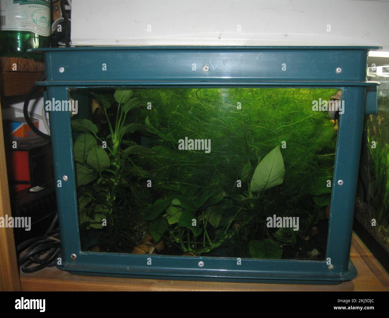 Vintage freshwater aquarium with plastic frame Stock Photo - Alamy
