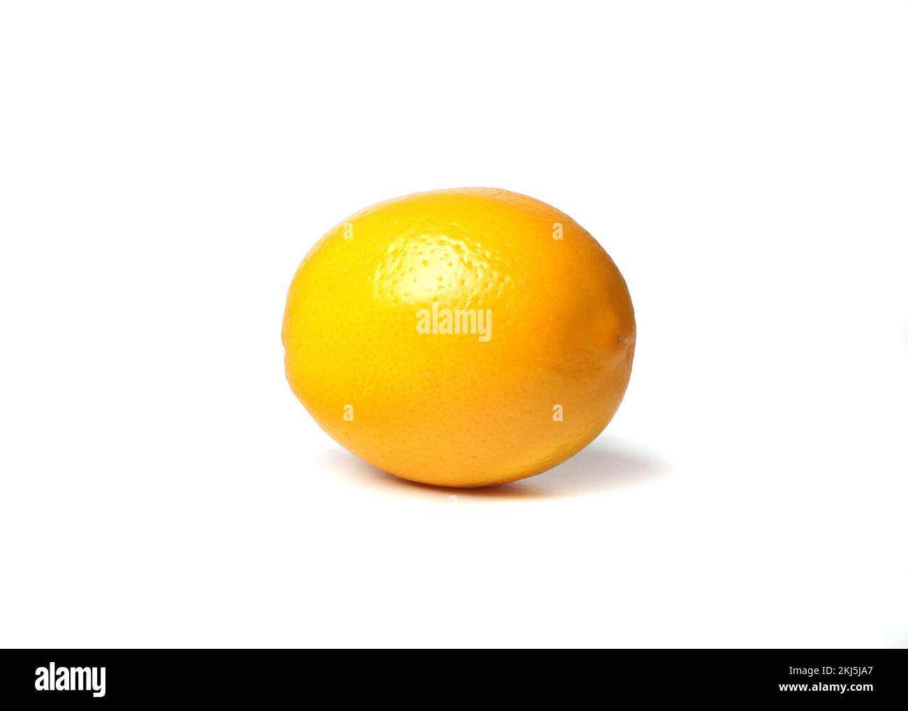 One lemon fruit isolated on white background Stock Photo - Alamy