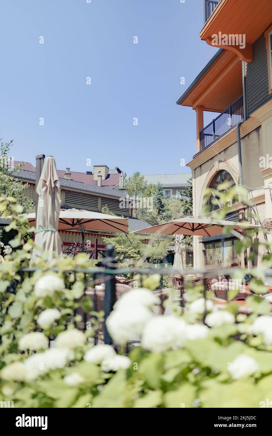 A vertical shot of a big house with a terrace and garden with blooming ...